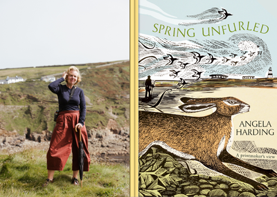 Printmaker and Illustrator Angela Harding | St Andrews - Topping ...